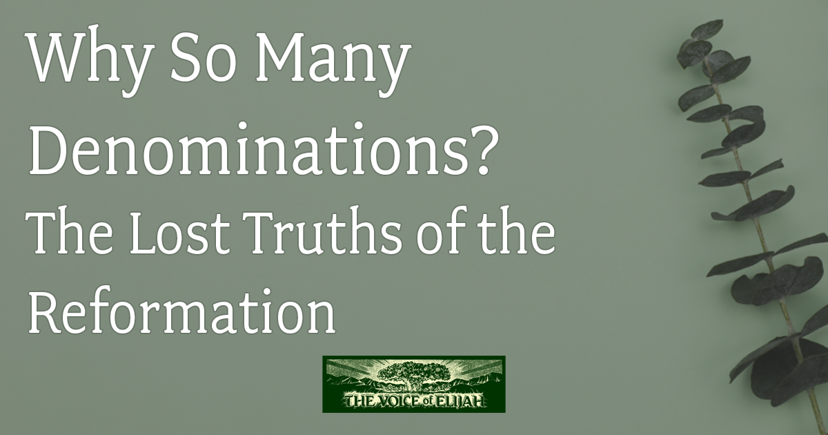Why So Many Protestant Denominations? Each Tried but None Fully ...
