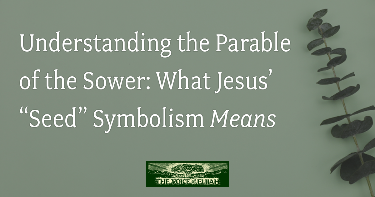 Understanding the Deeper Meaning of the Parable of the Sower